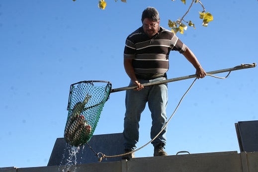Fishing - Edwards AFB - iSportsman